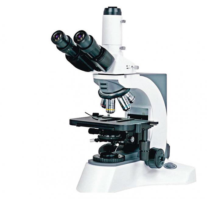 Microscopes optiques composés A12.1018 de lampe d'halogène de ...