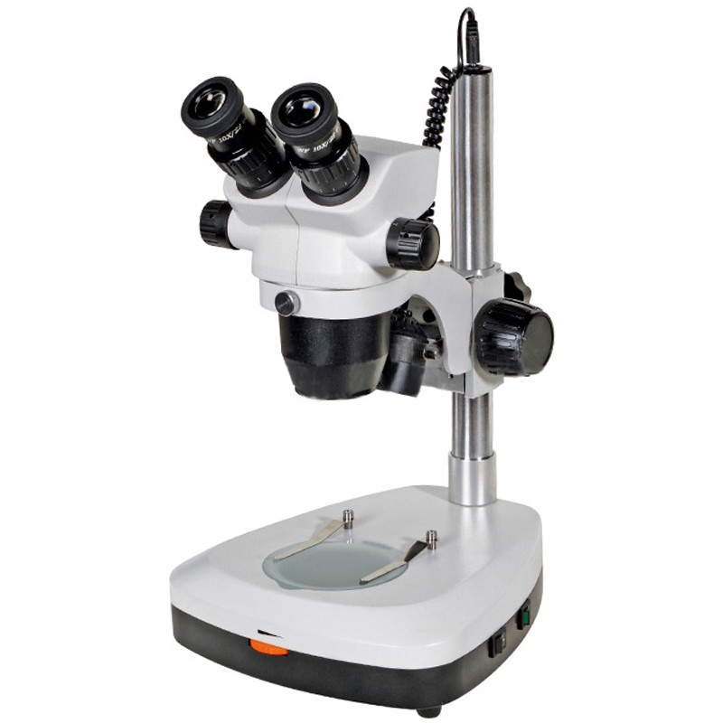 Zoom optique stéréo d'illumination du microscope A23.1122 LED de l ...