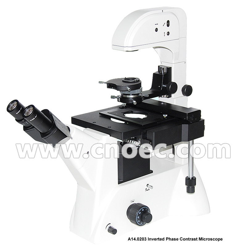 Gisement lumineux inversé par objectif A14.0203 de microscope d'infini ...