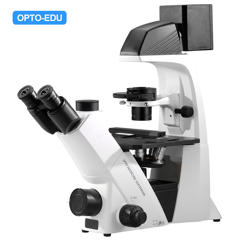 OPTO-EDU A14.2605 a inversé le microscope biologique de contraste de ...